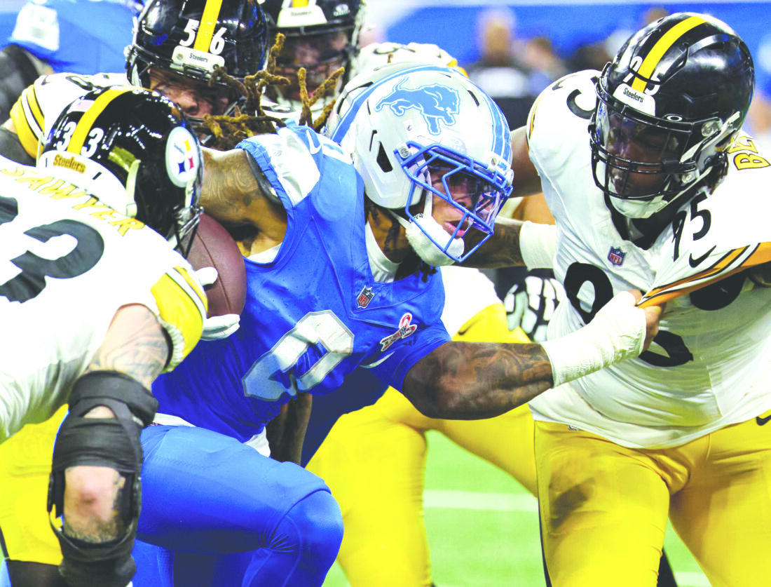 Lions lose in wild finish, penalty negating final TD | News, Sports ...